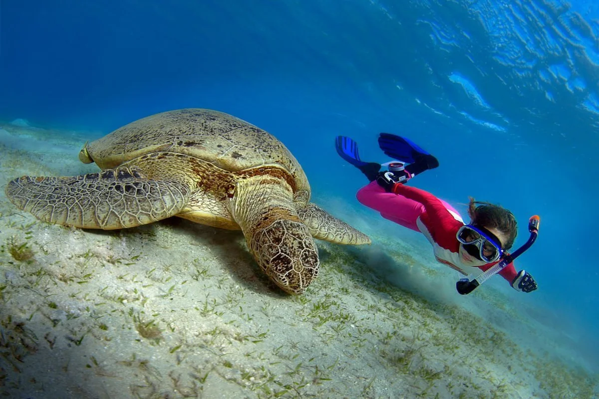 Snorkeling Excursion in Marsa Alam - Hakuna Matata Egypt Tours